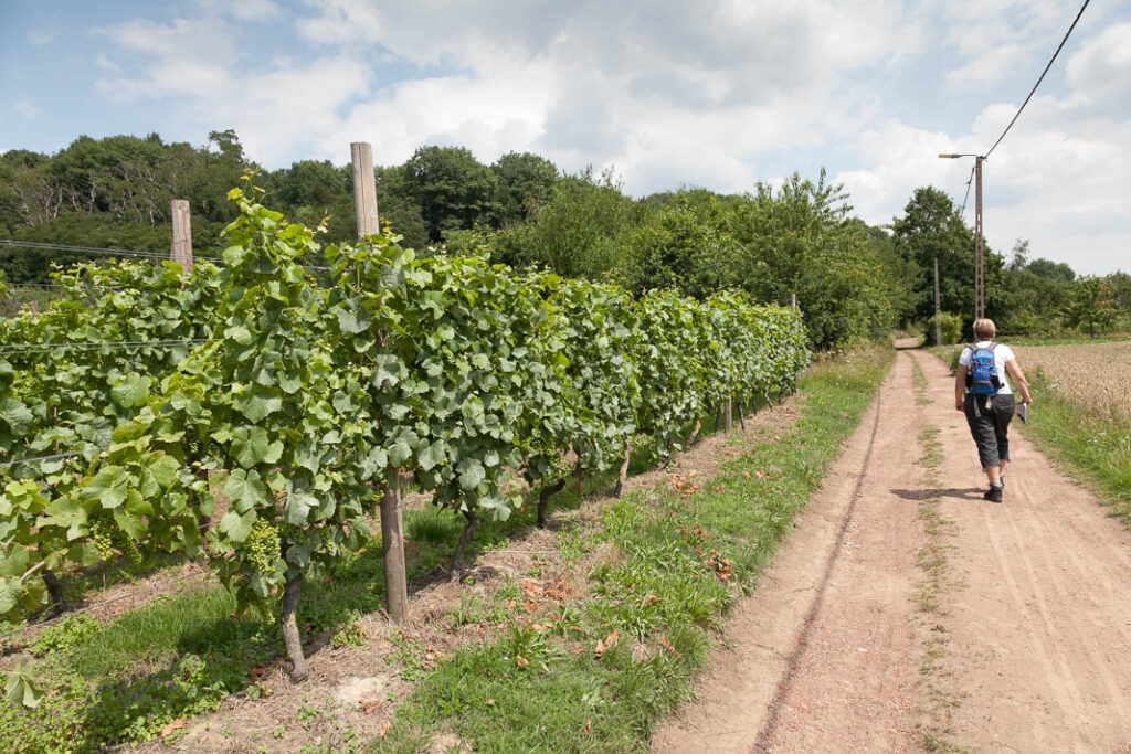 Hageland de Vlaamse Bourgogne
